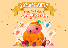 HIDE & SEEK THANKSGIVING EVENT